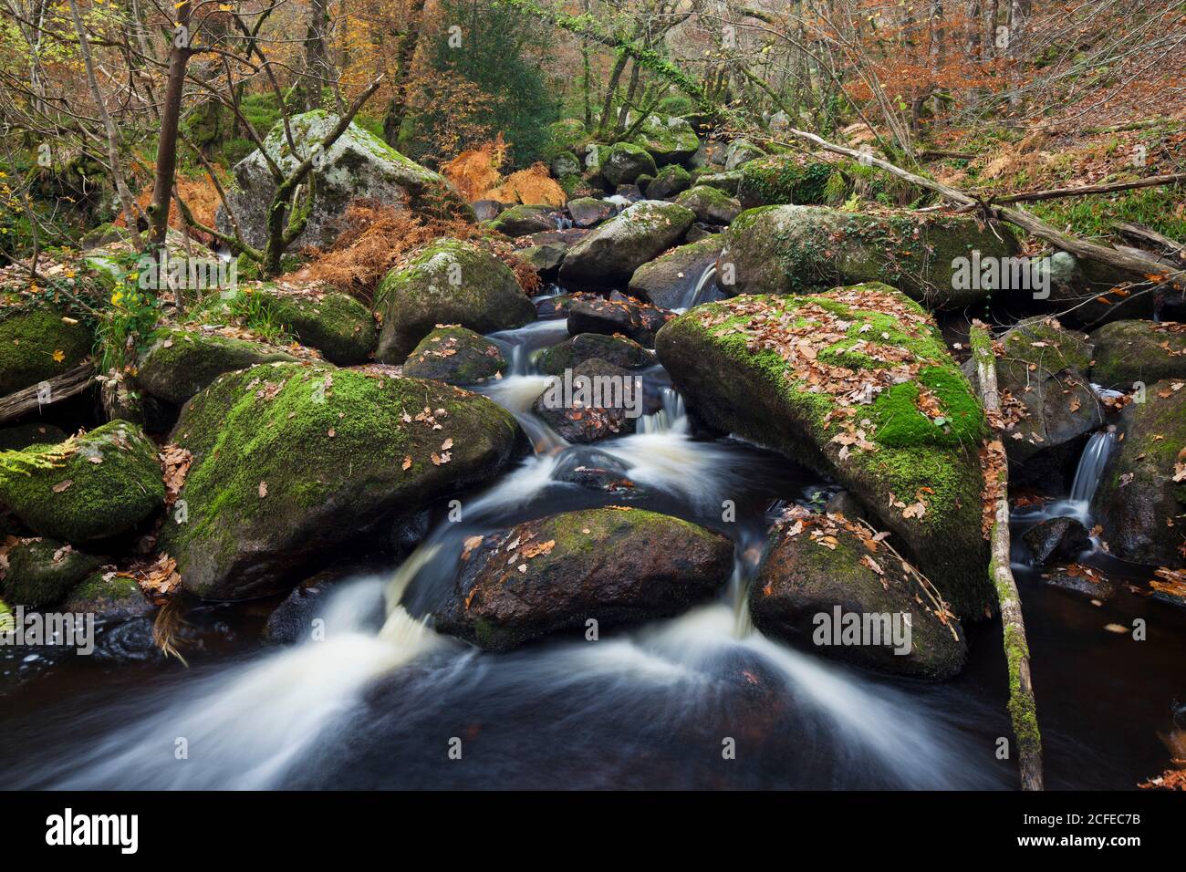 The river Ellez inland in Brittany at autumn time Stock Photo - Alamy