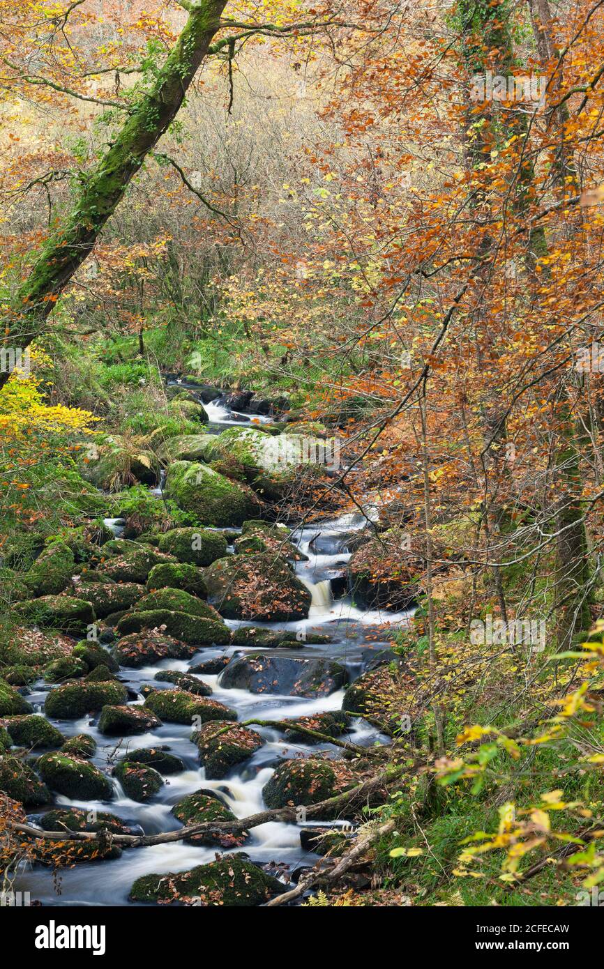 The river Ellez inland in Brittany at autumn time Stock Photo - Alamy