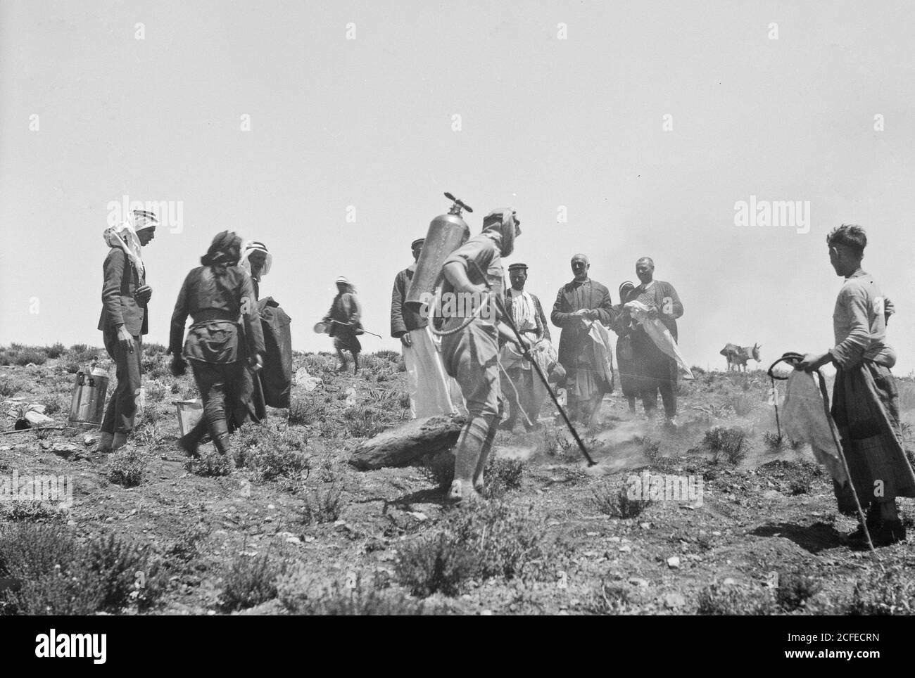 1920s locust plague hi-res stock photography and images - Alamy