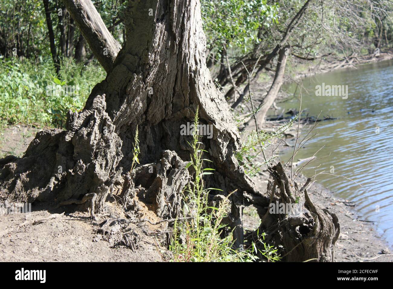Riverfront common hi-res stock photography and images - Alamy