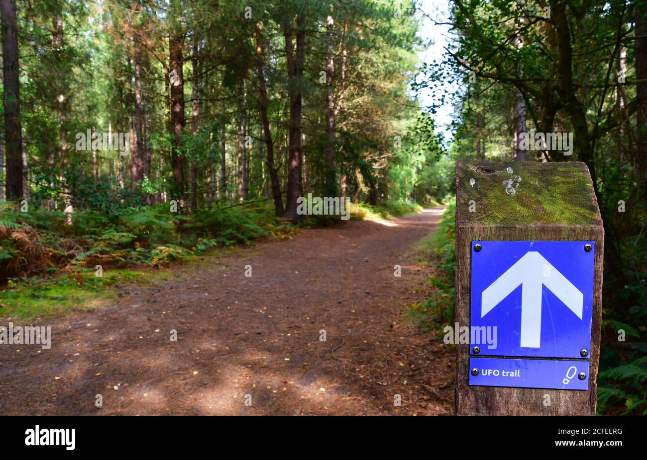 The UFO Trail in Rendlesham Forest, Suffolk, UK Stock Photo - Alamy