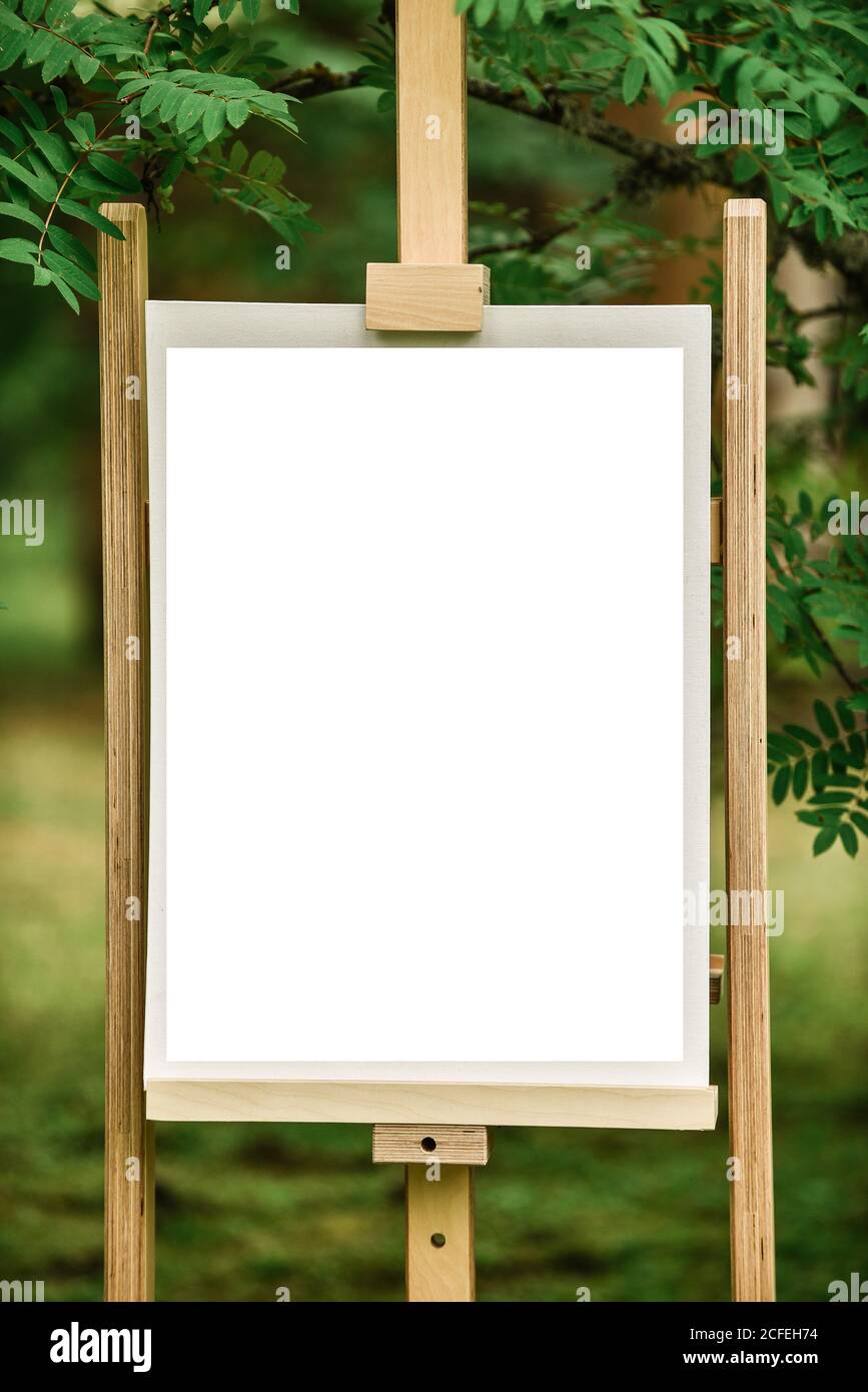 A board with a white background and space for your text. Blank board ...