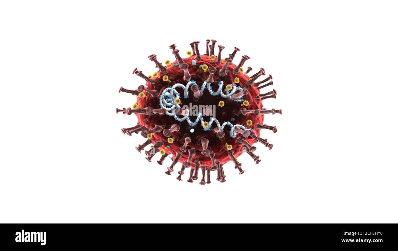 3D illustration showing the structure of a coronavirus Stock Photo - Alamy
