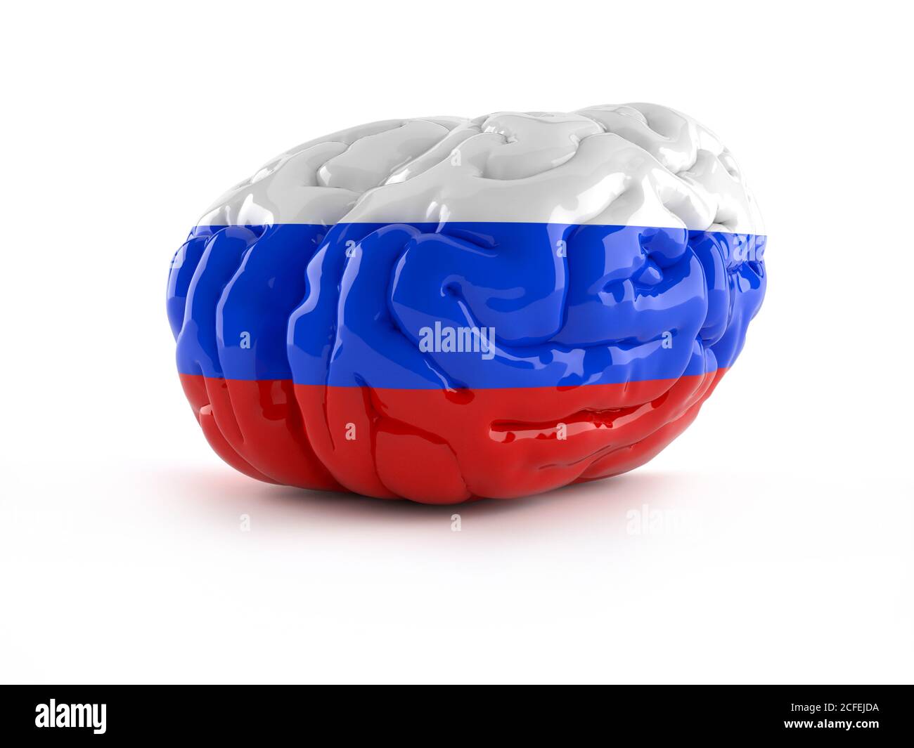 Russian brain isolated on white background Stock Photo - Alamy