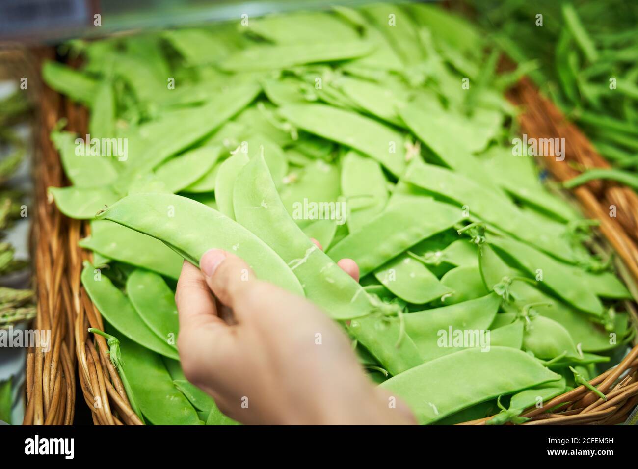 Hand full of green beans hi-res stock photography and images - Alamy