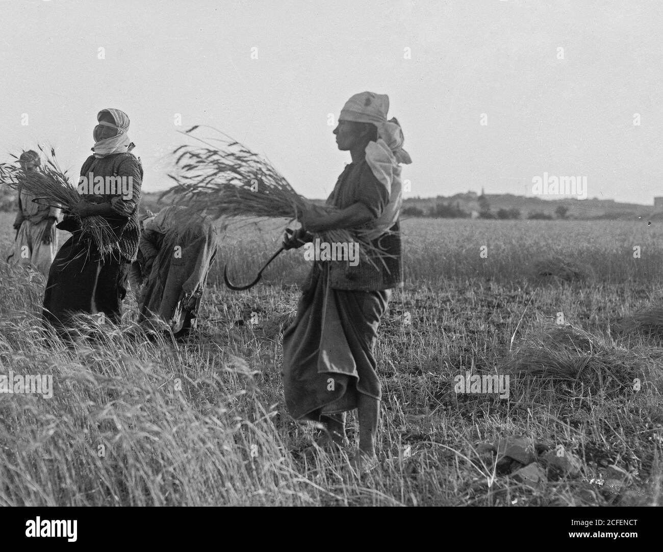 Arab Peasants. Reaping scenes. Mt. of Olives in background ca. 1898 ...