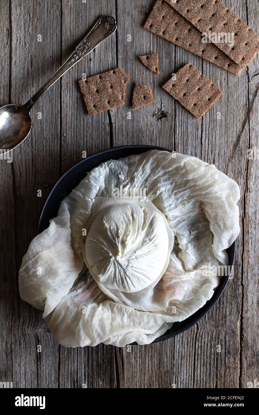 Overhead crunchy crackers and spoon placed near plate with ball of ...