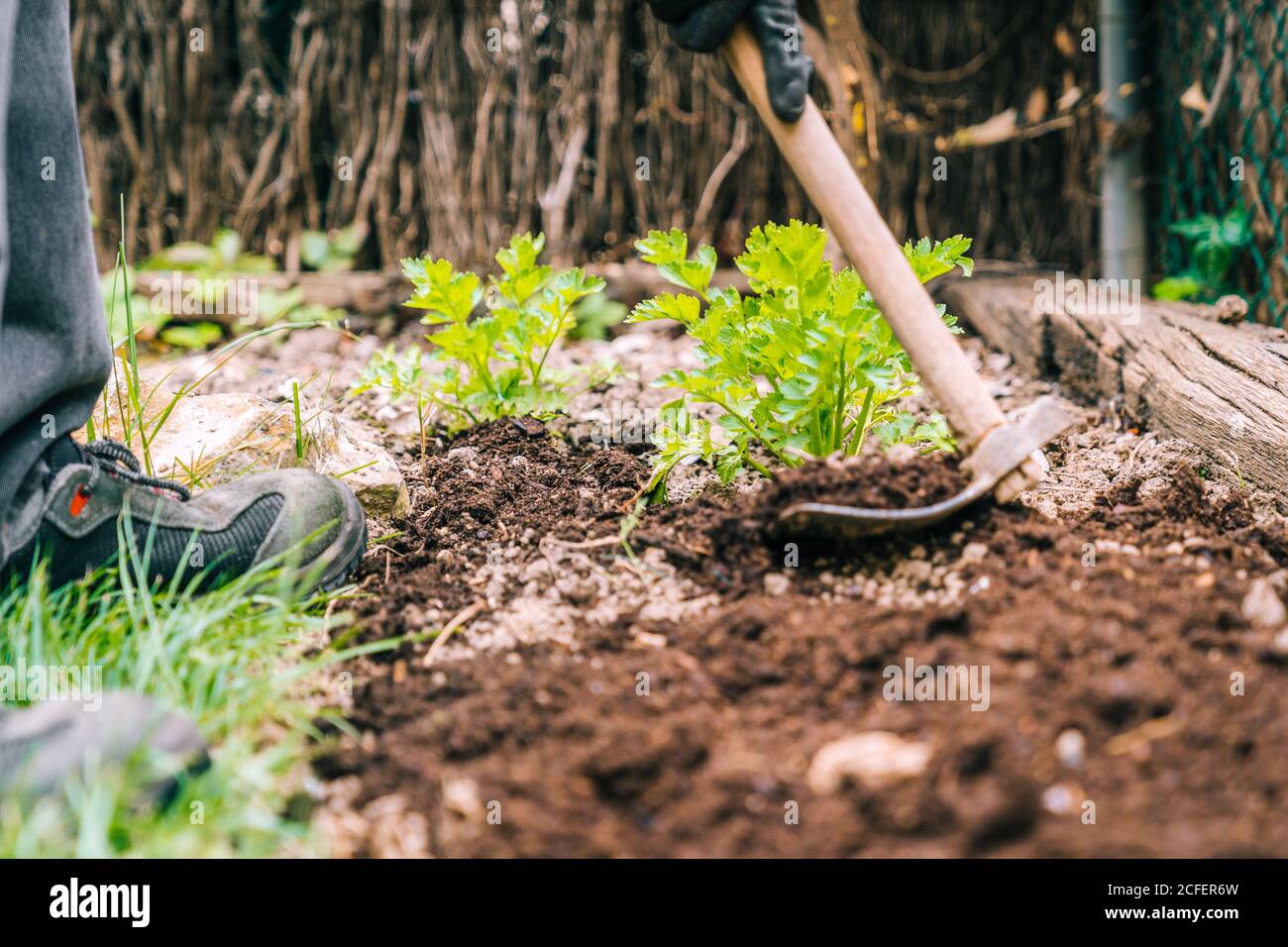Mattock hi-res stock photography and images - Alamy