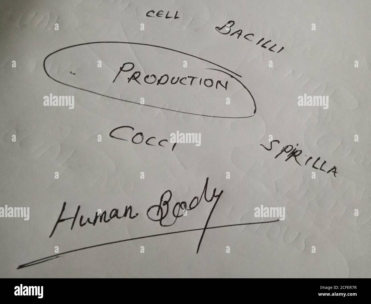 Human body related word presented on text form for education awareness ...