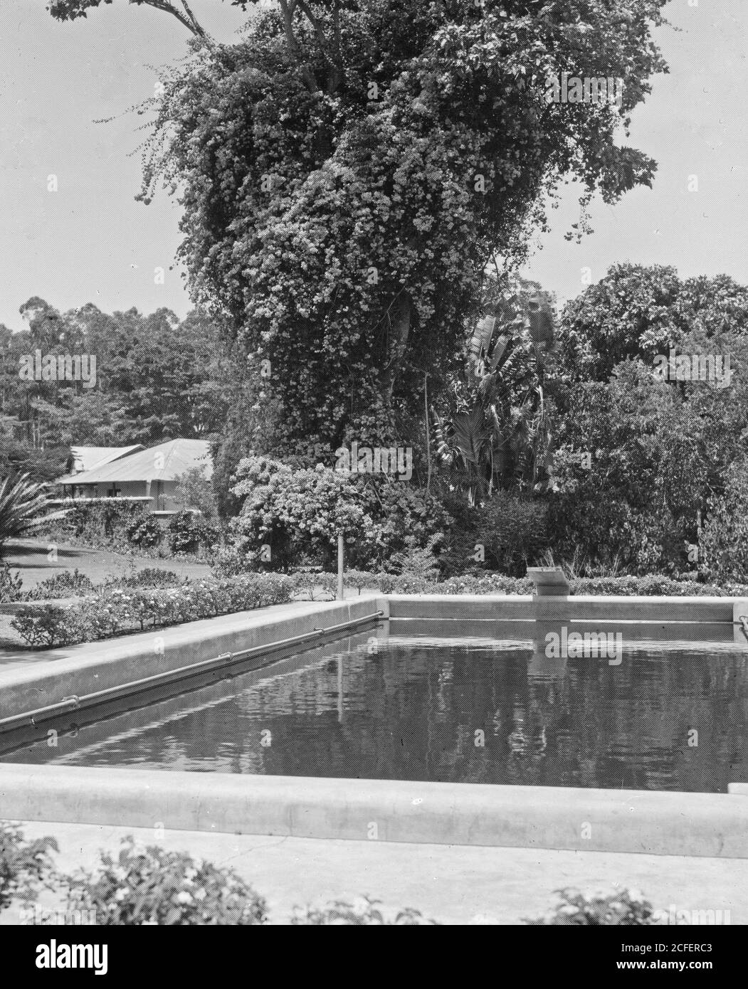 Early 1900s swimming pool Black and White Stock Photos & Images - Alamy