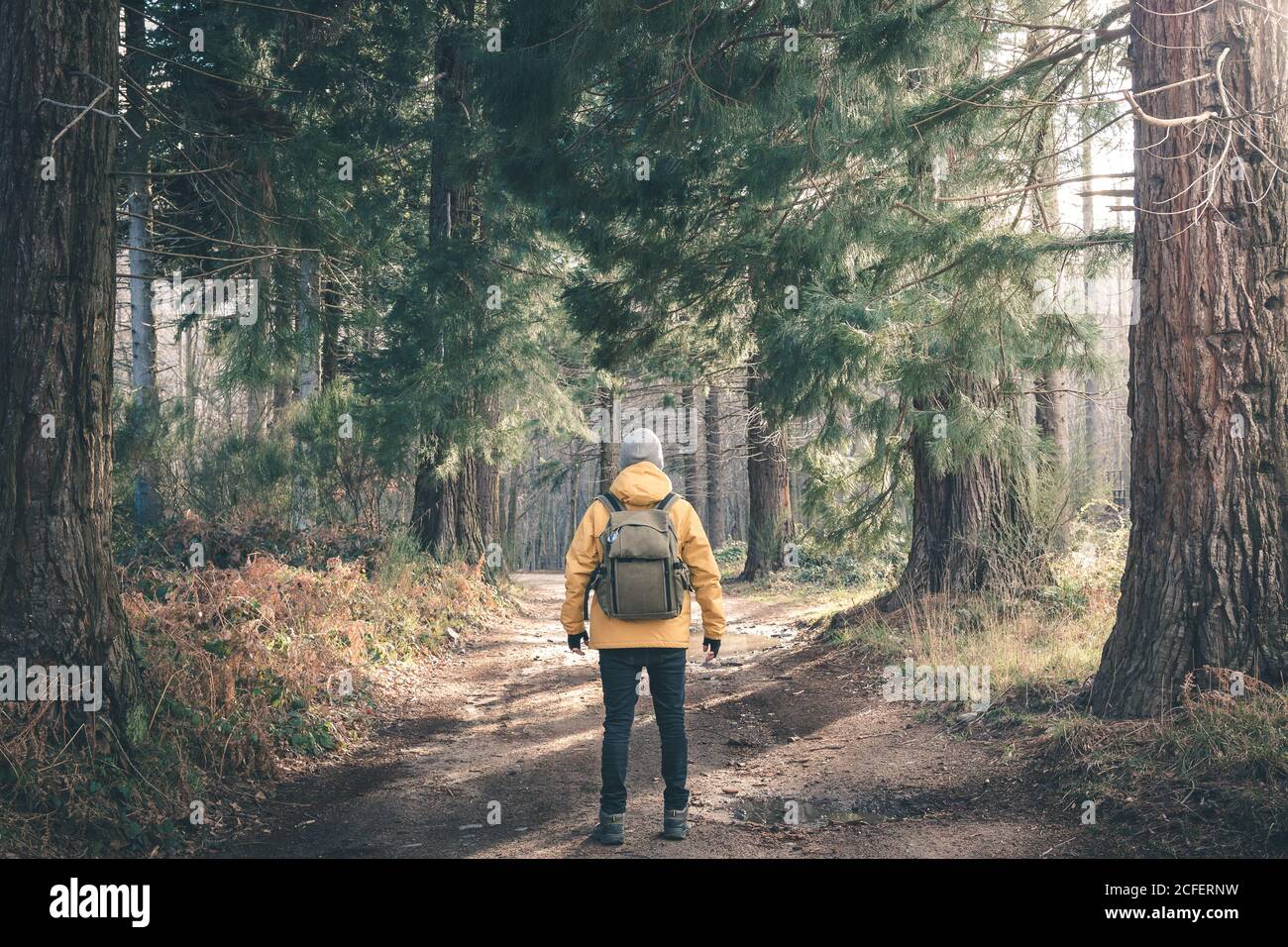 Back view unrecognizable traveler hi-res stock photography and images ...