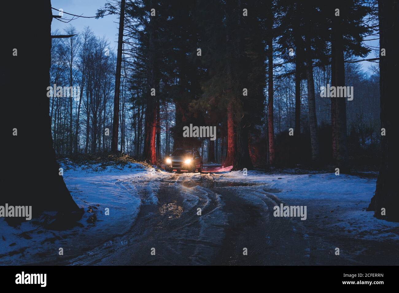 Car riding in forest road hi-res stock photography and images - Alamy