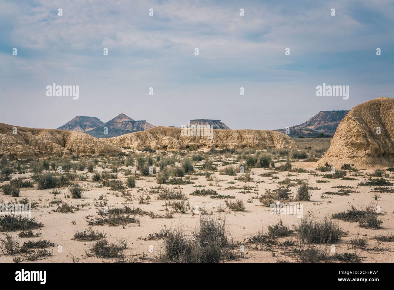 Dry vegetation hi-res stock photography and images - Alamy
