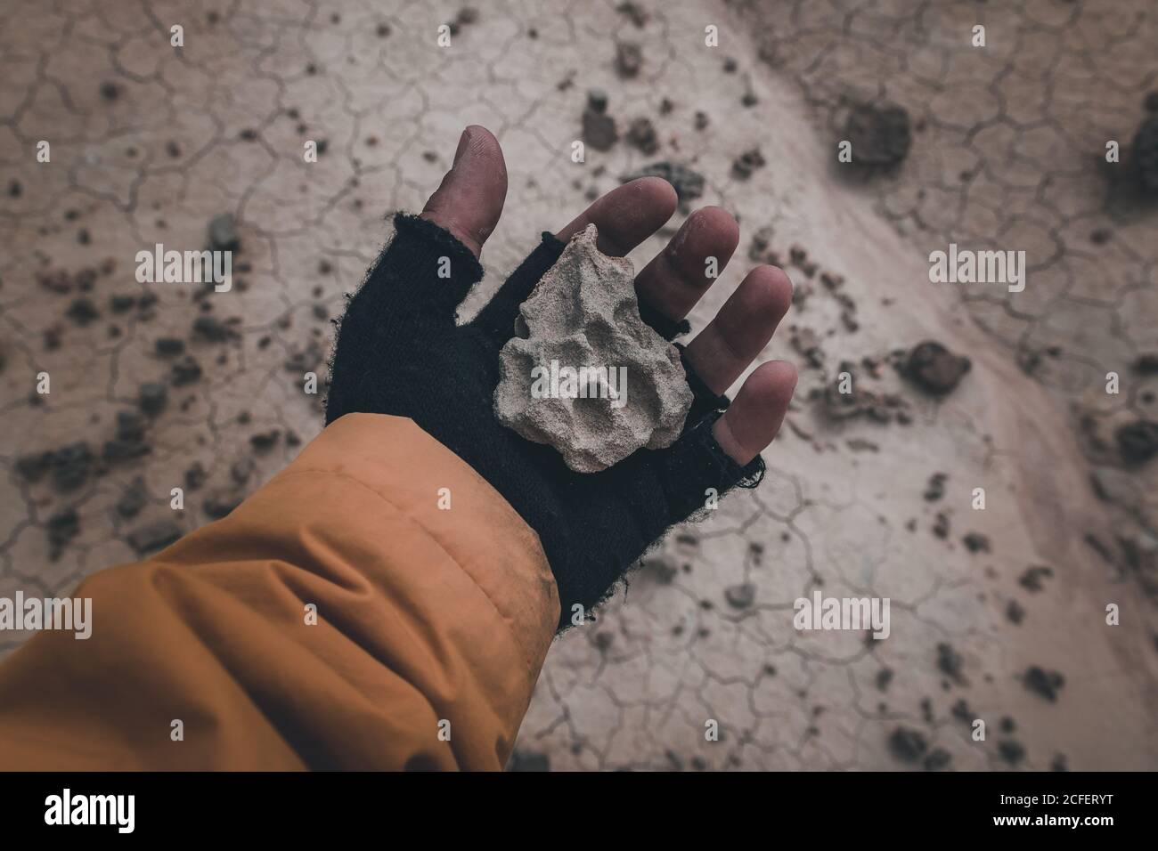 Hand with stone hi-res stock photography and images - Alamy