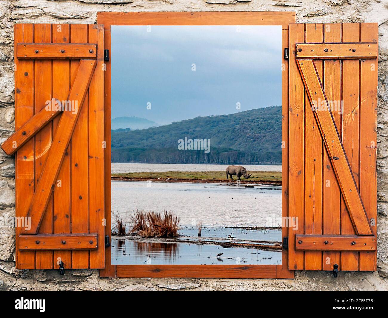 White Rhino near a lake in Kenya. It´s a point of view from a open ...