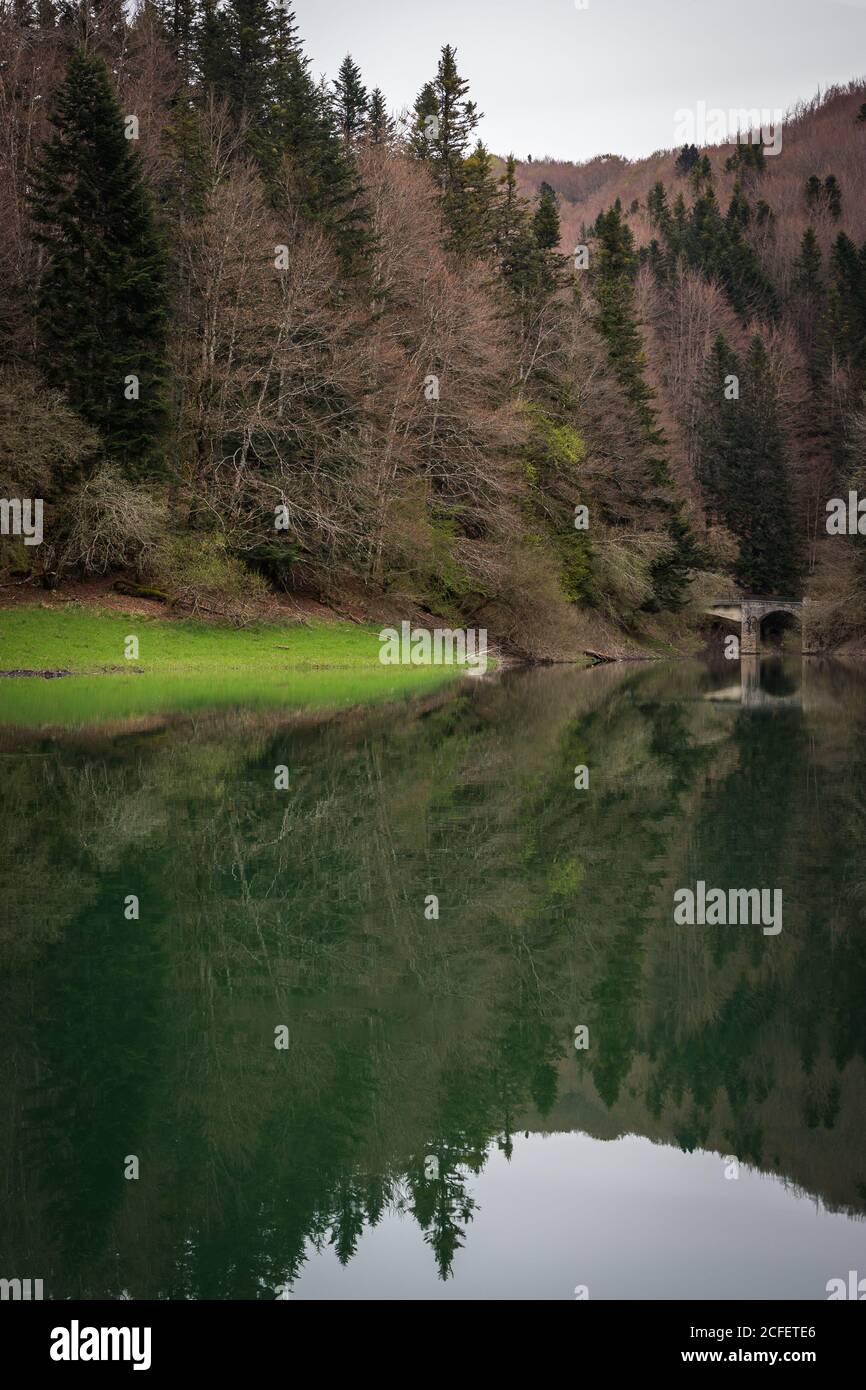 Growing trees near shore picturesque hi-res stock photography and ...