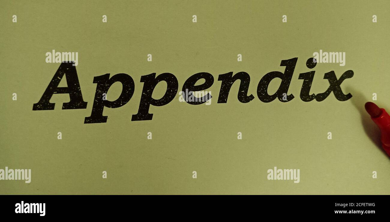 Appendix word displayed on paper slip concept for educational ...