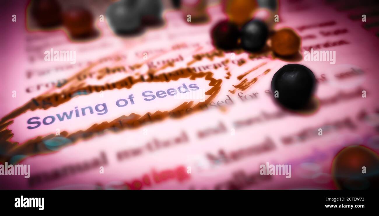 Sowing of seeds word highlighted with closeup view on book word ...
