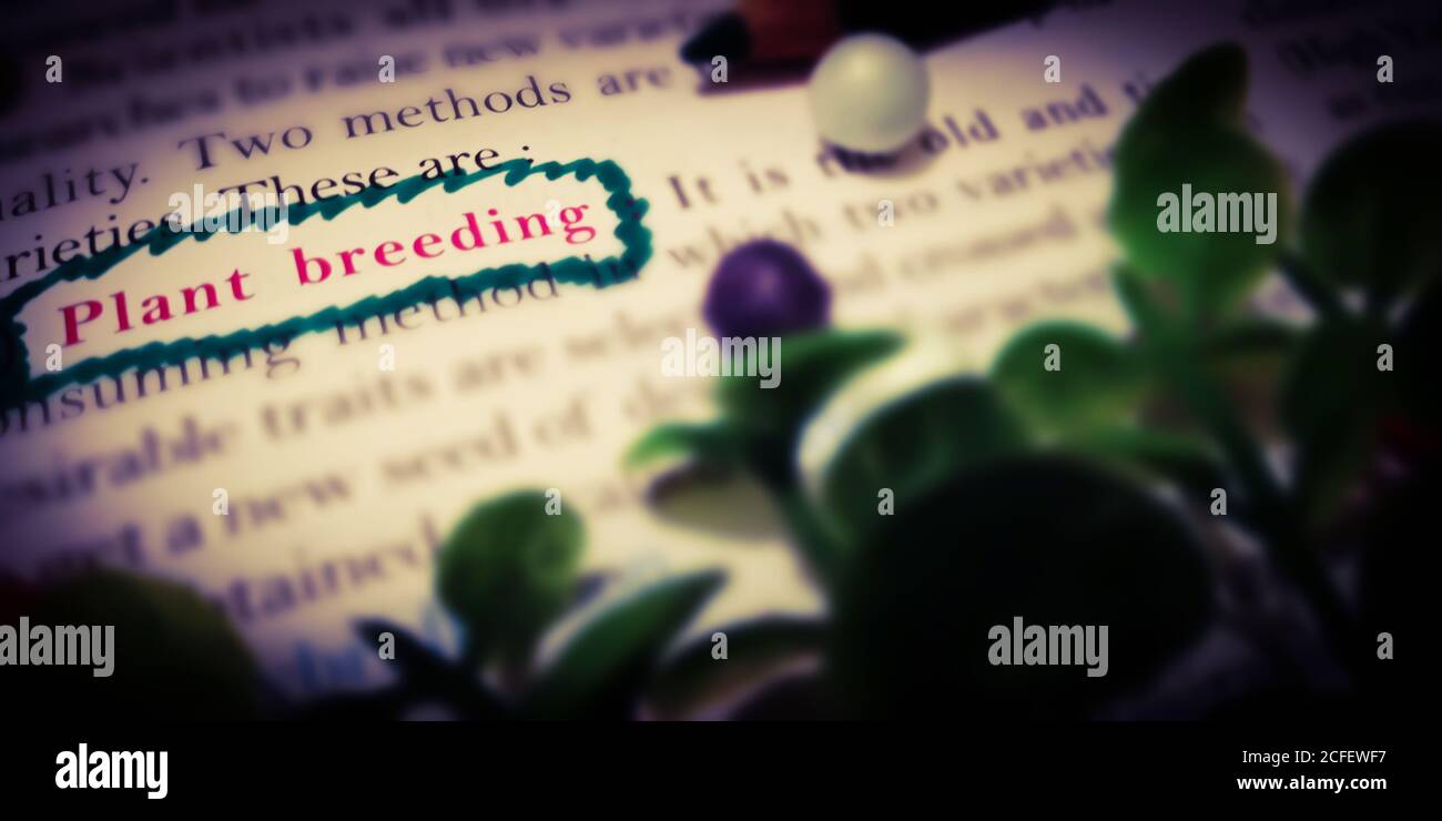 Plant Breeding word highlighted with closeup view on book word ...