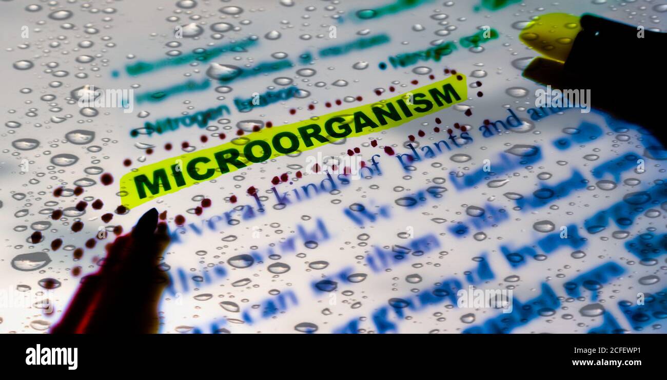 Microorganism word highlighted with closeup view on book word ...
