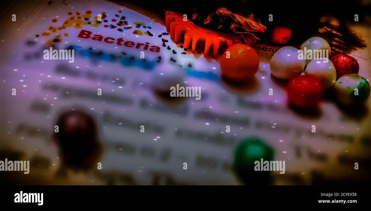Bacteria word highlighted with closeup view on book word educational ...