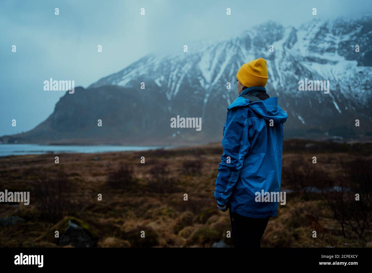 Back view of calm pensive Woman in warm clothes enjoying scenery while ...