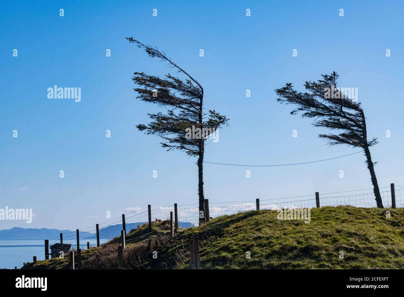 Two windswept trees and an empty washing line on the Isle of Skye Stock ...