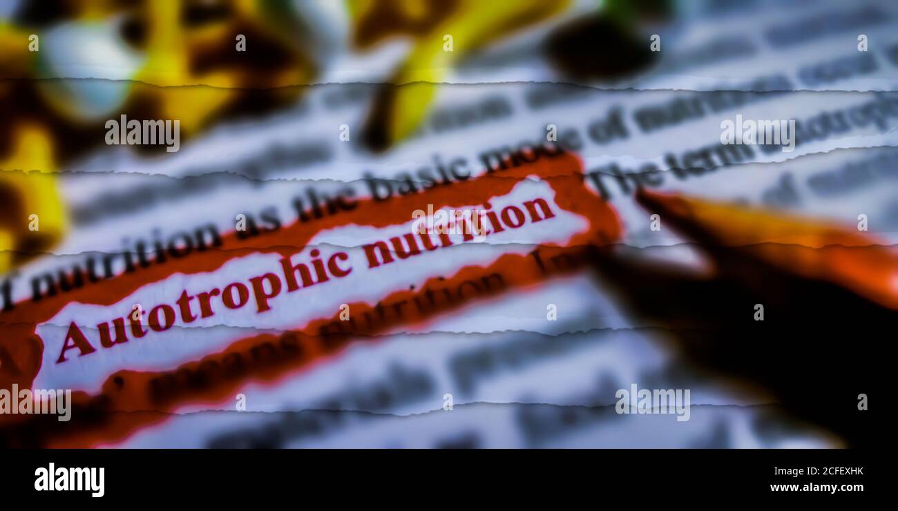 Autotrophic Nutrition word highlighted with closeup view on book word ...