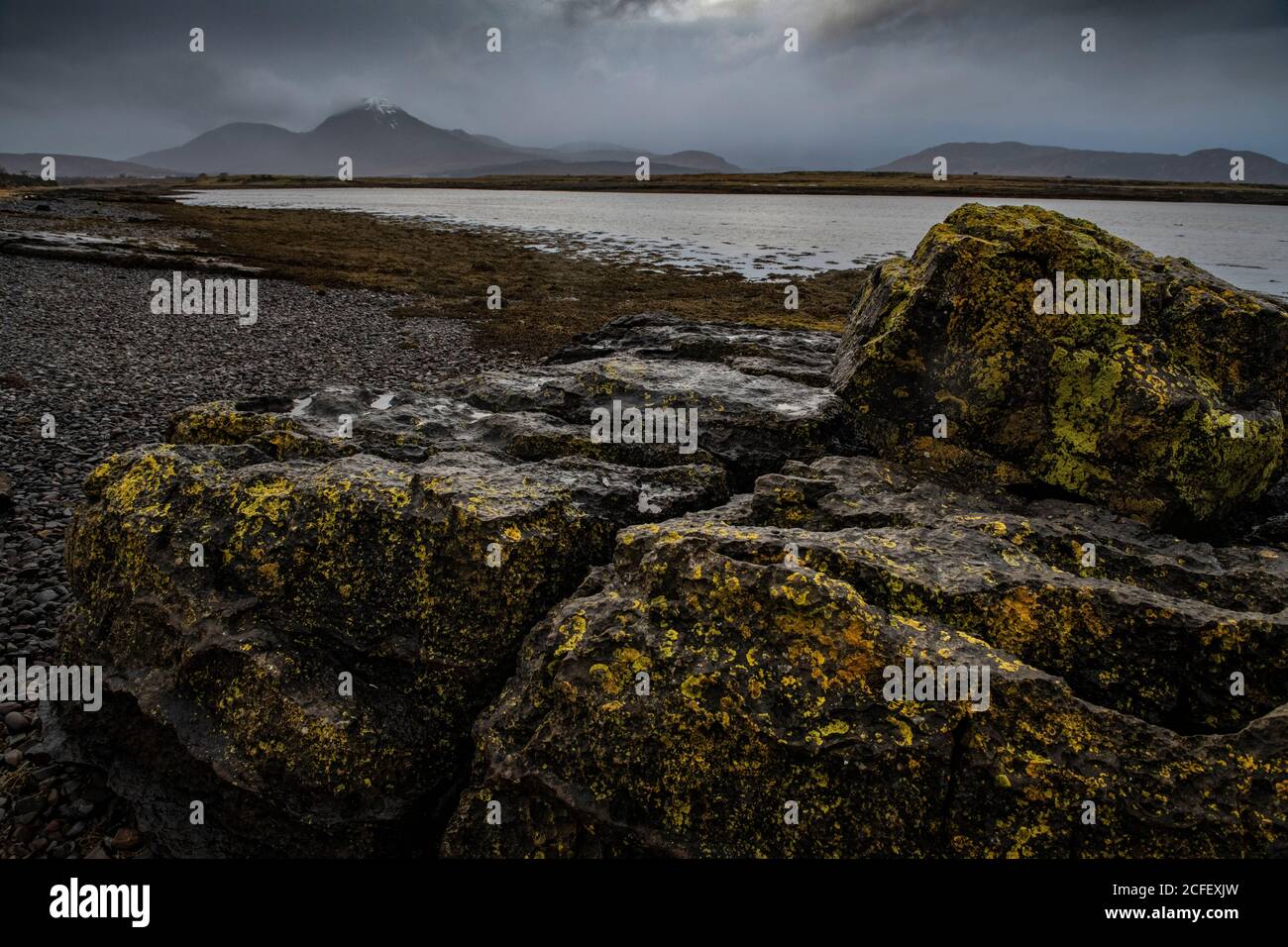 Windswept view hi-res stock photography and images - Alamy