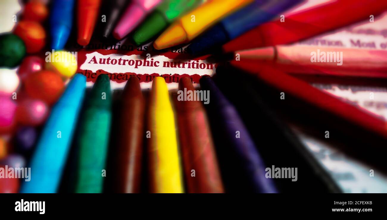 Autotrophic Nutrition word highlighted with closeup view on book word ...