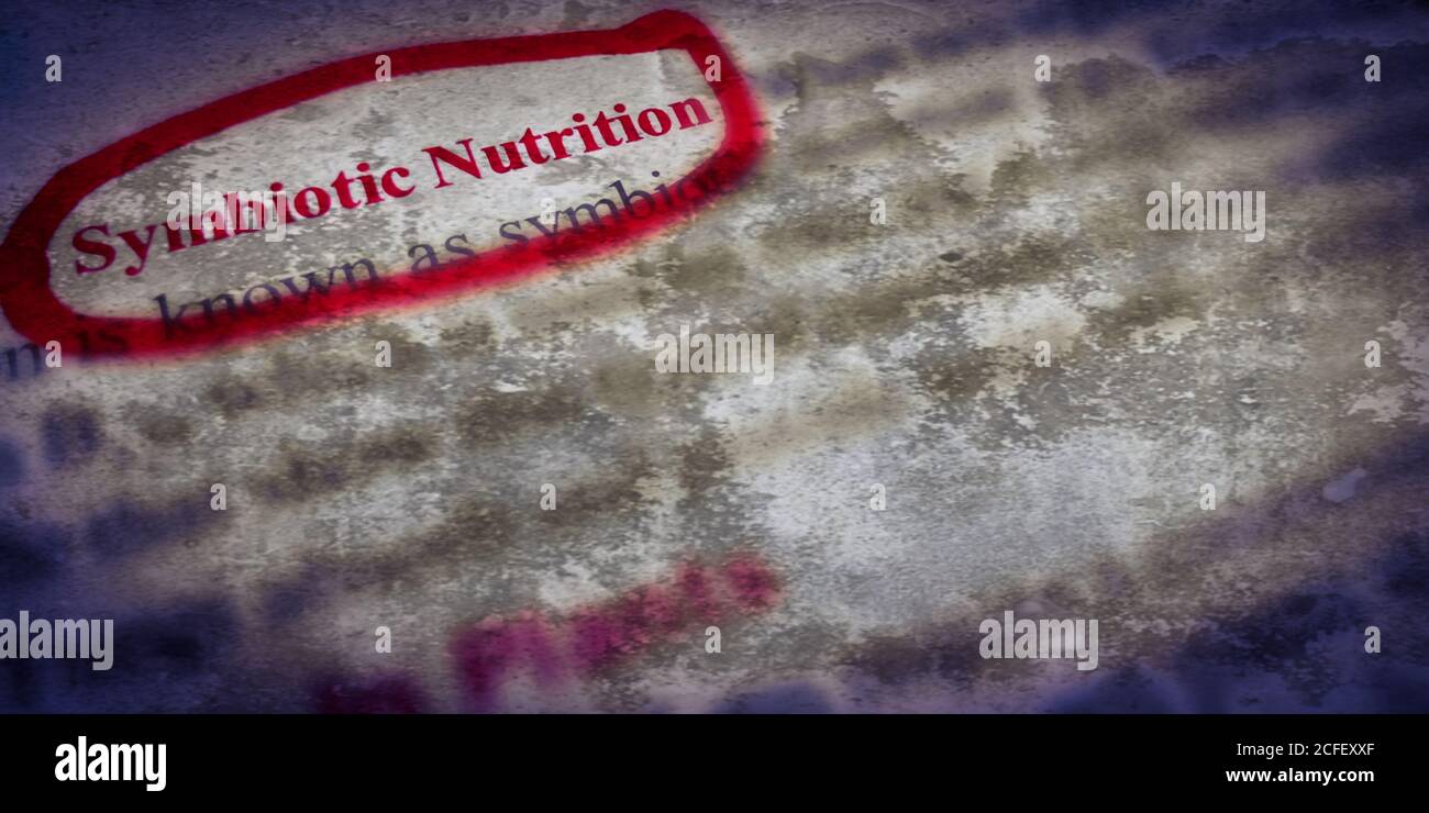 Symbiotic nutrition word highlighted with closeup view on book word ...