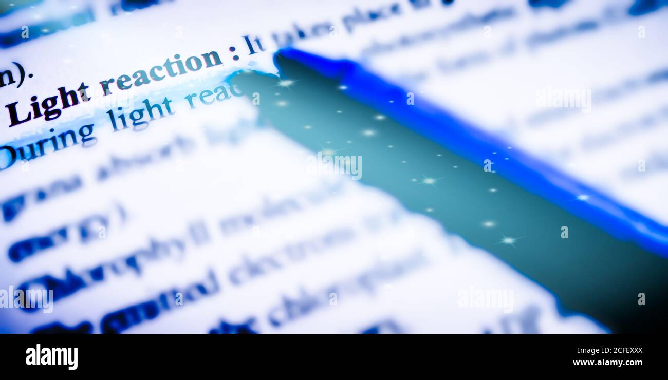 Light Reaction word highlighted with closeup view on book word ...