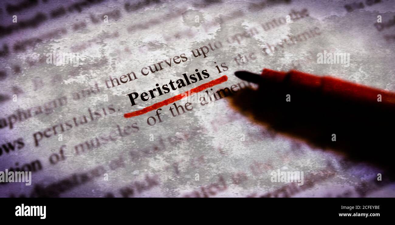 Peristalsis word highlighted with closeup view on book word educational ...
