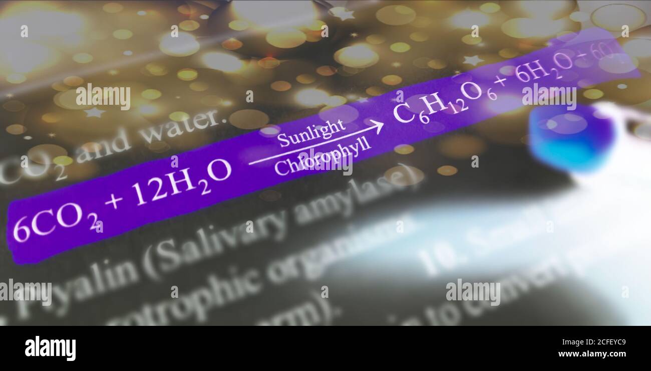 Sunlight chlorophyll formula highlighted with closeup view on book word ...