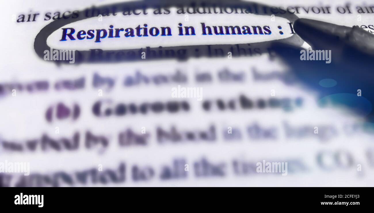 Respiration in humans word highlighted with closeup view on book word ...