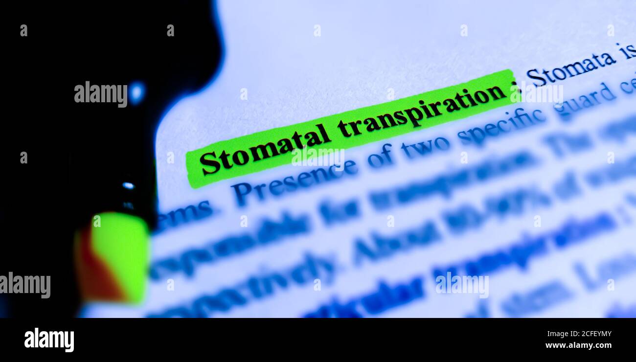 Therapy terminology hi-res stock photography and images - Alamy