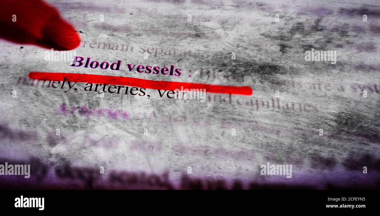Blood vessels word highlighted with closeup view on book word ...