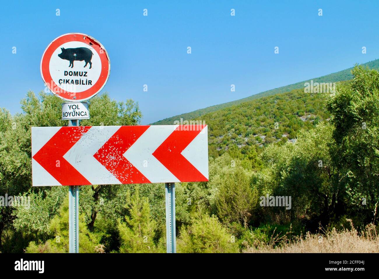 Warning danger wild boar sign hi-res stock photography and images - Alamy