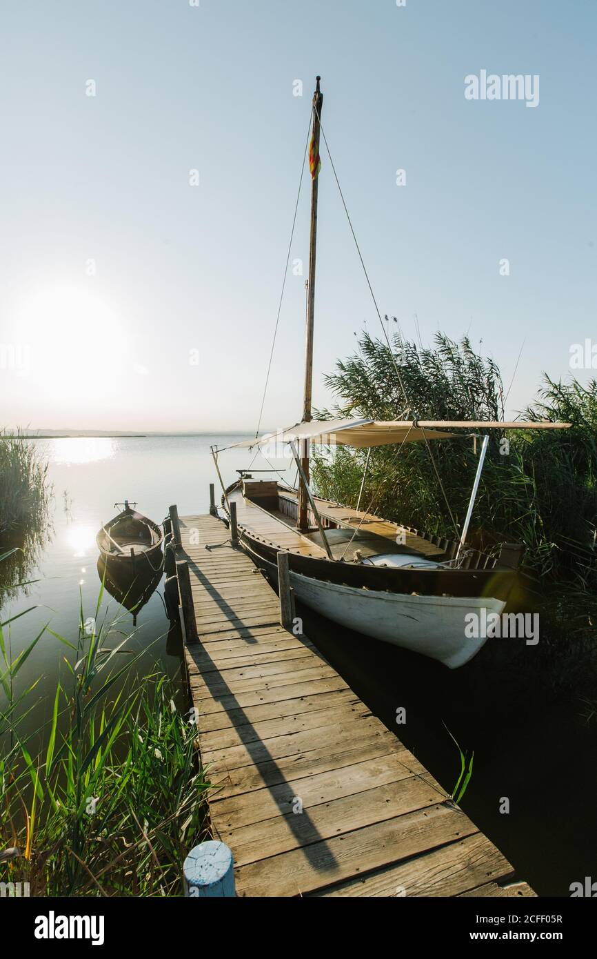 Wooden rural wharf with tied vessels by green bushes at peaceful lagoon ...