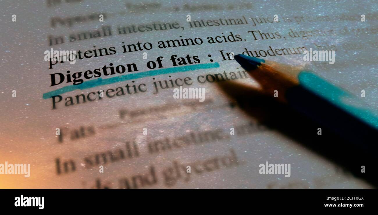Digestion of Fats word highlighted with closeup view on book word ...