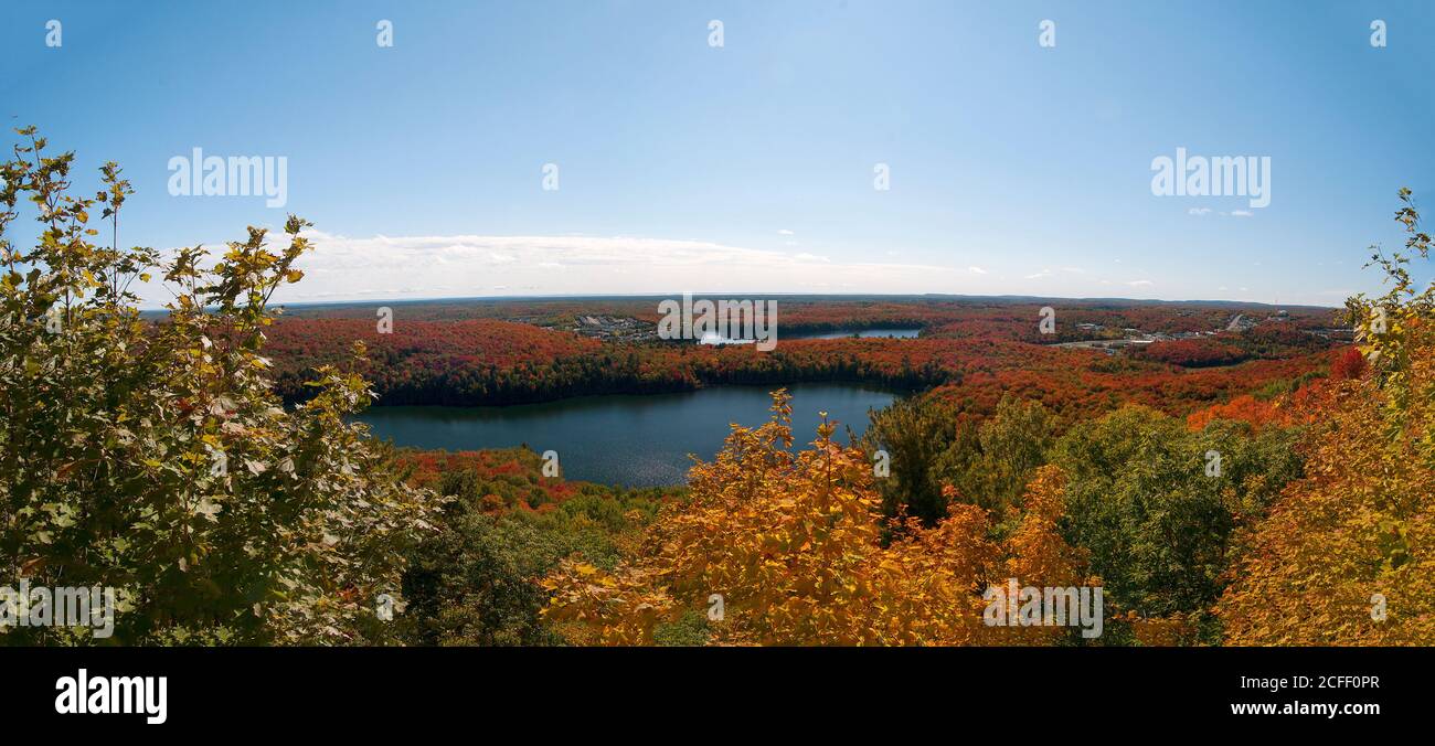 Autumn landscape displaying multi coloured maple trees, lake, blue sky ...