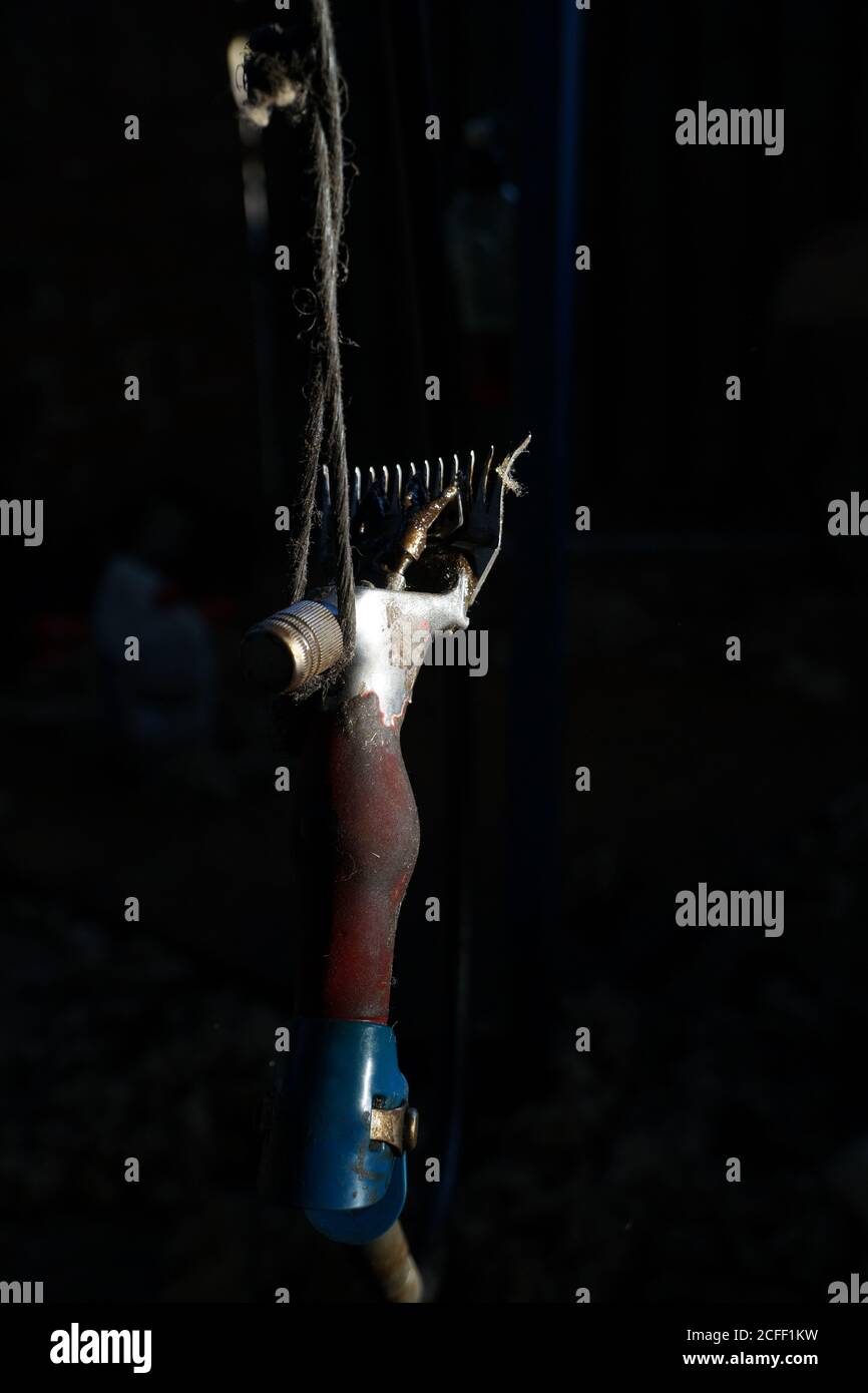 Sheep shearing equipment hi-res stock photography and images - Alamy