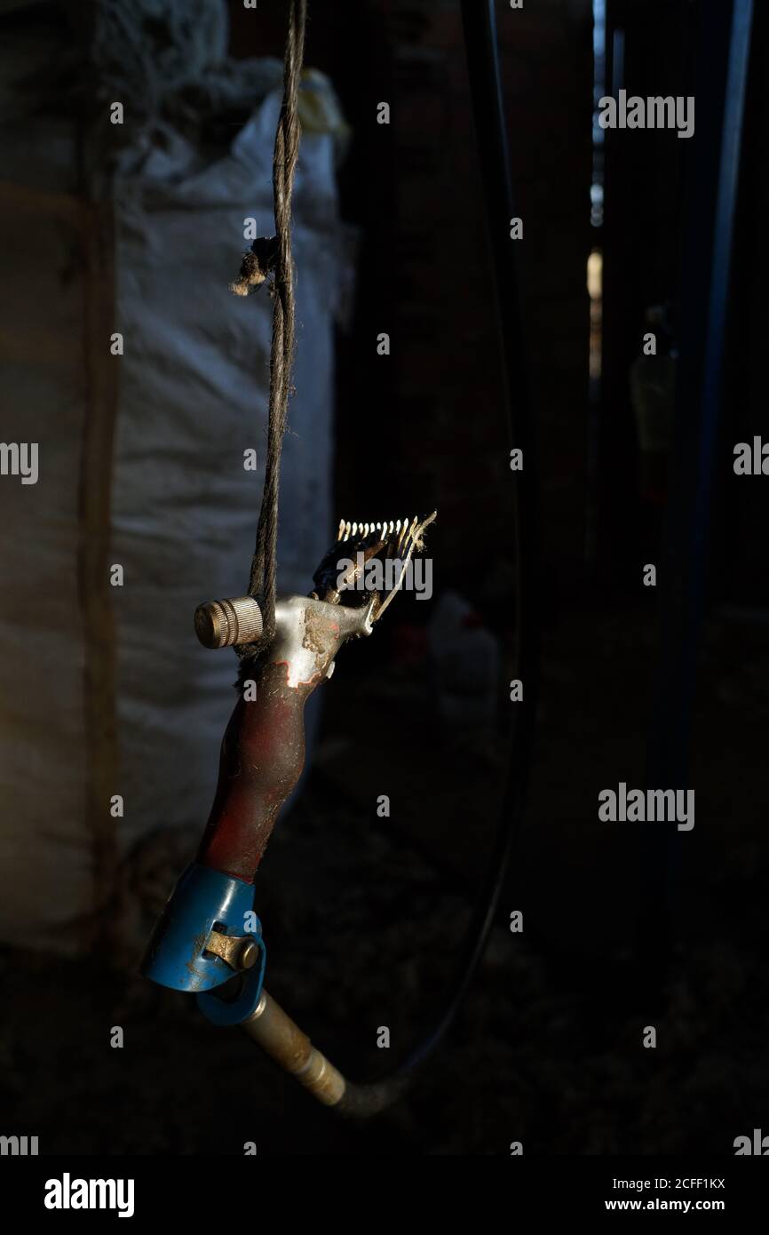 Sheep shearing equipment hi-res stock photography and images - Alamy