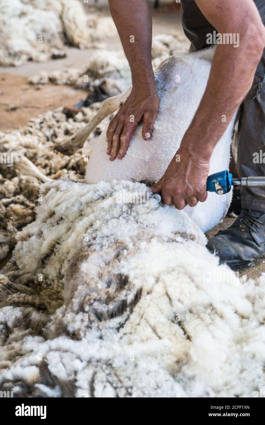 Removing countryside hi-res stock photography and images - Alamy