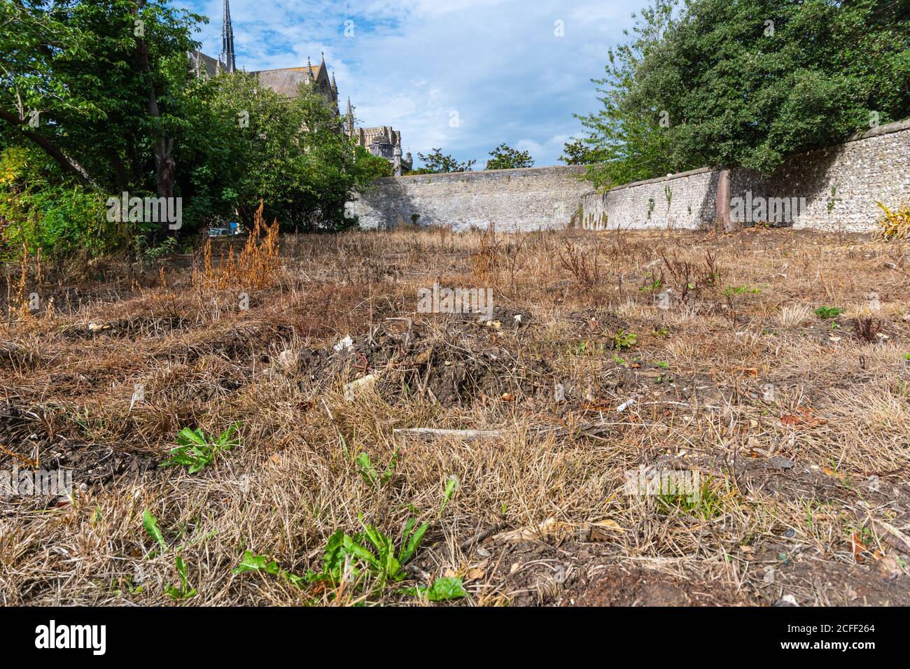 Unwatered grass hi-res stock photography and images - Alamy