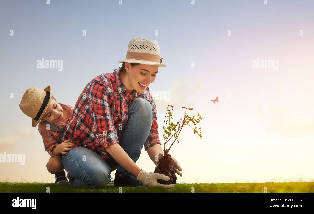 Mom and her child girl plant sapling tree. Spring concept, nature and ...