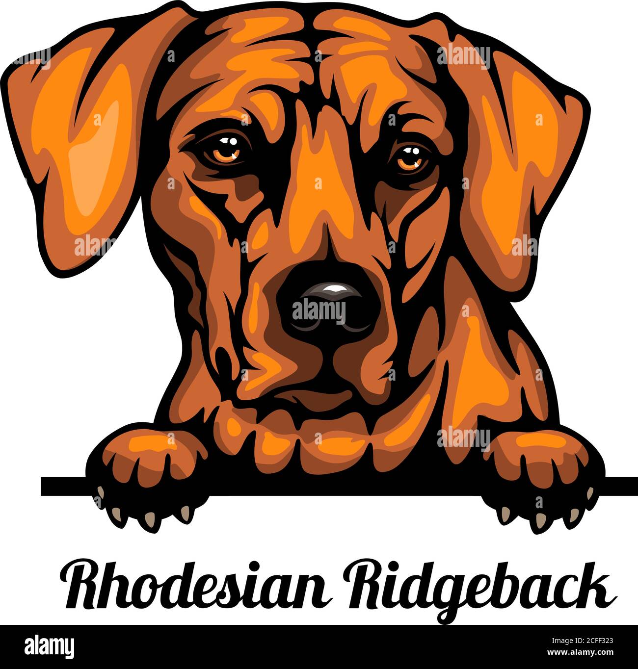 Rhodesian ridgeback dog Stock Vector Images - Alamy