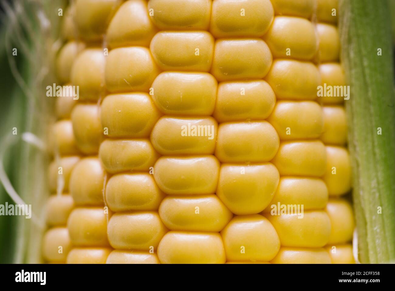 Closeup textured background of yellow kernels of ripe sweet corn Stock ...