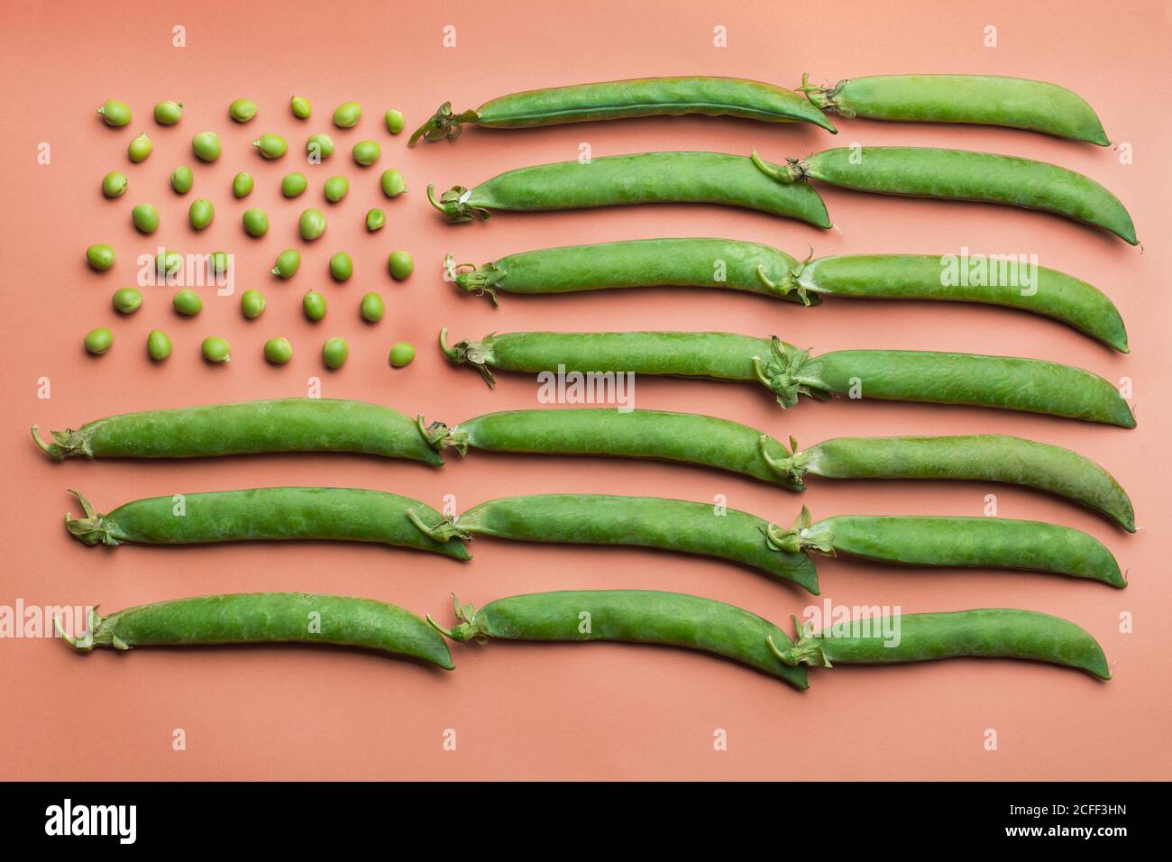 Flat seed pods hi-res stock photography and images - Alamy