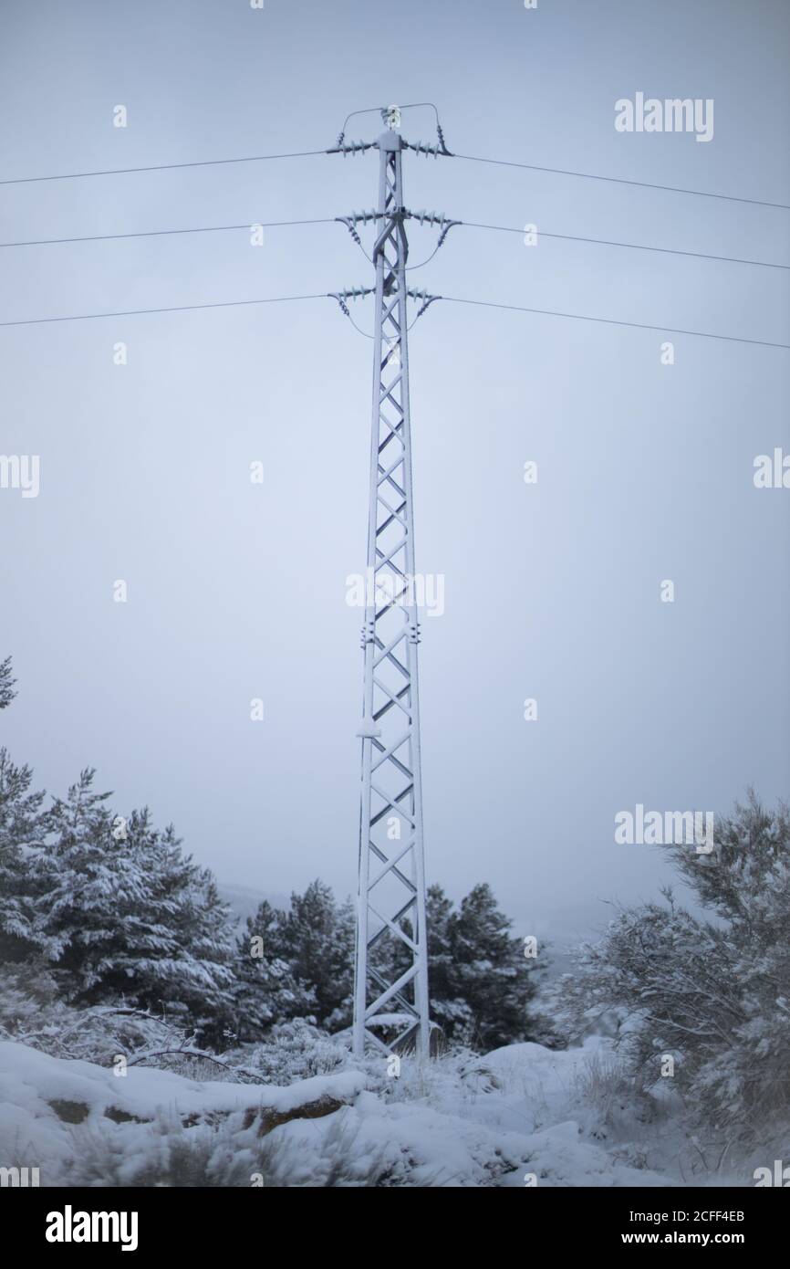 Low angle of tall metal power line support among snowy pine trees with ...